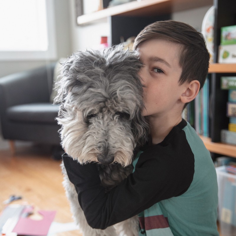 Die schönsten Begriffe im Versicherungsdeutsch