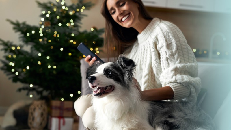 Hilfsmittel, Tipps & Gadgets gegen Silvesterangst bei Hunden
